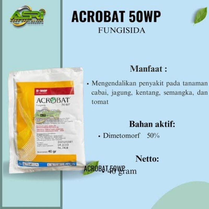 Jual FUNGISIDA ACROBAT 40GR 1box ( isi 6bgks) | Shopee Indonesia