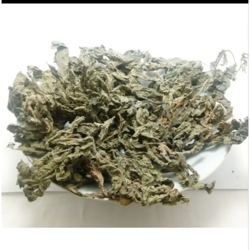Jual Daun Tapak Liman Kering 1 kg | Shopee Indonesia