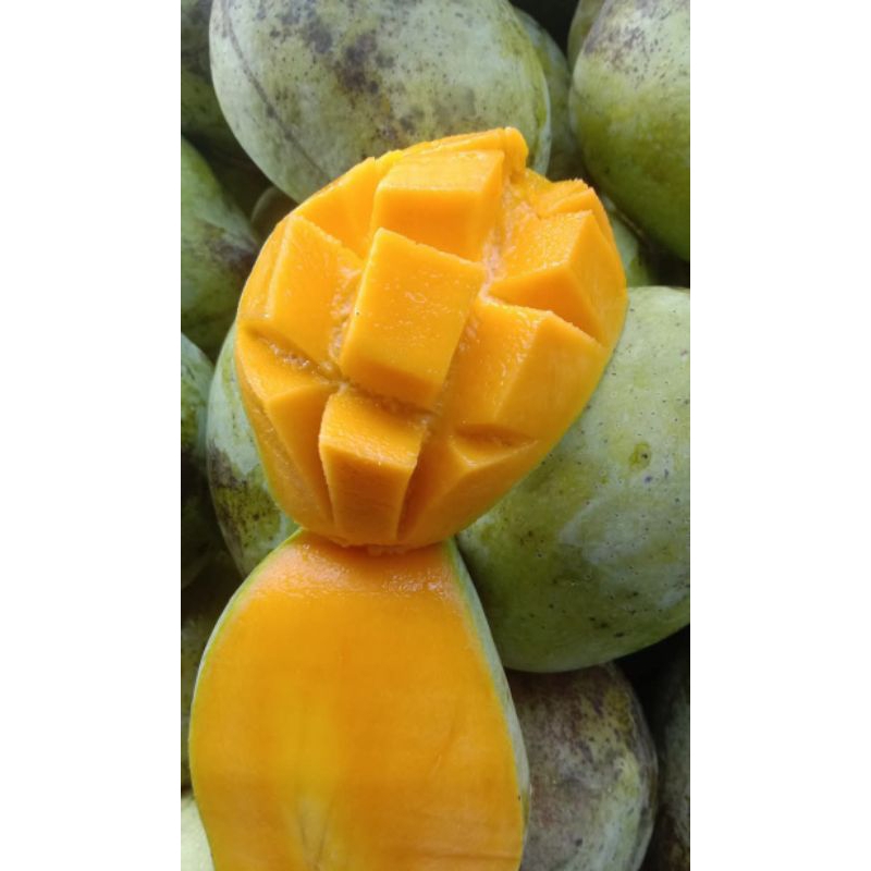 Jual buah mangga matang / Mateng 1 kg | Shopee Indonesia