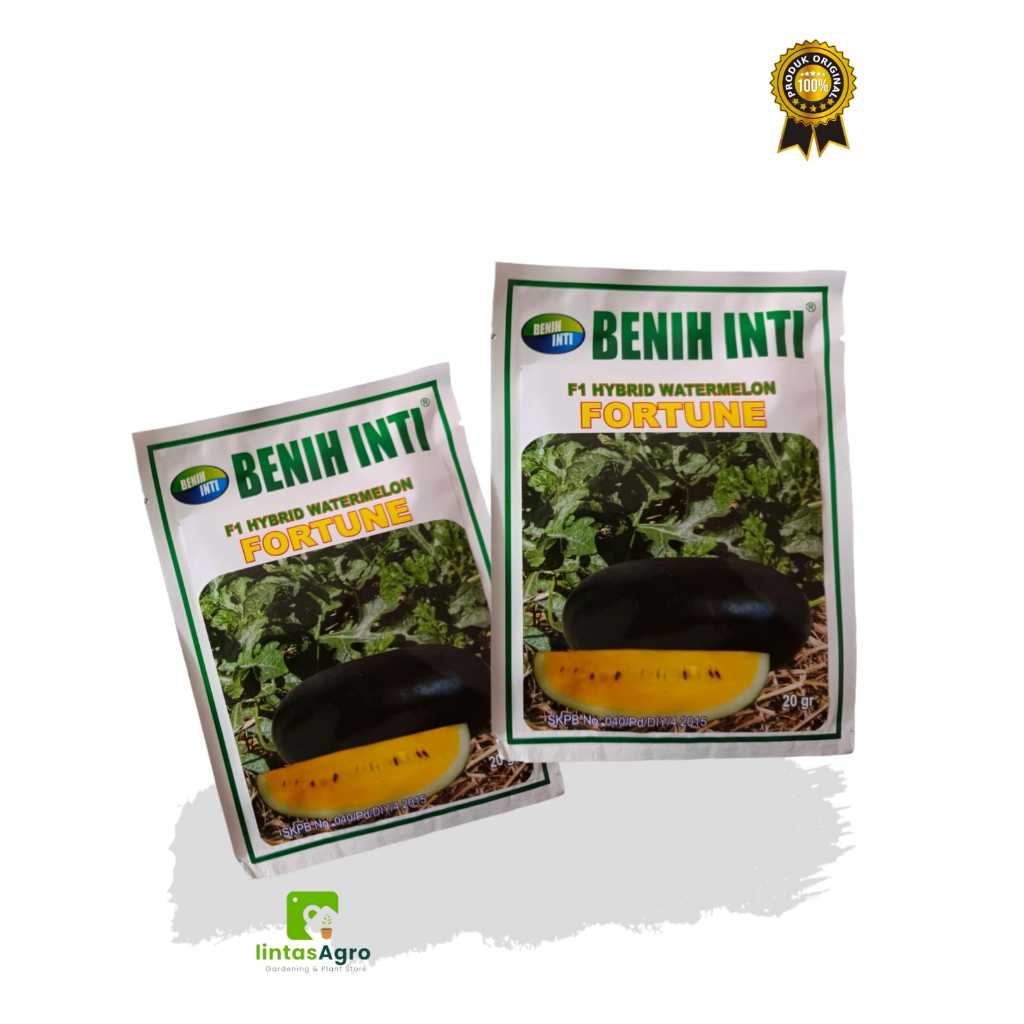 Jual Benih/ Biji Semangka kuning Unggul F1 Fortune 20 gr - berbuah ...