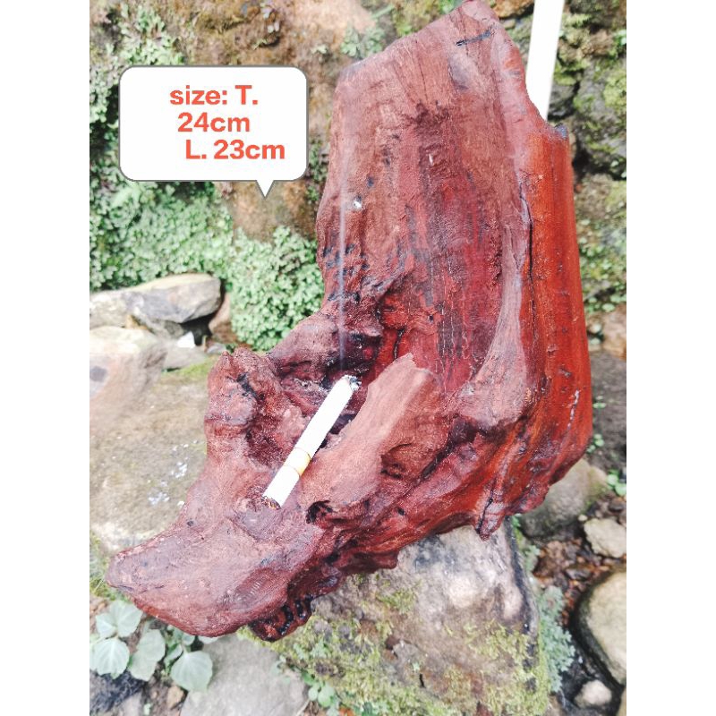 Jual ASBAK ALAMI POSIL ATAW RENTEK KAYU MALA. COCOK UNTUK PECINTA SENI ...