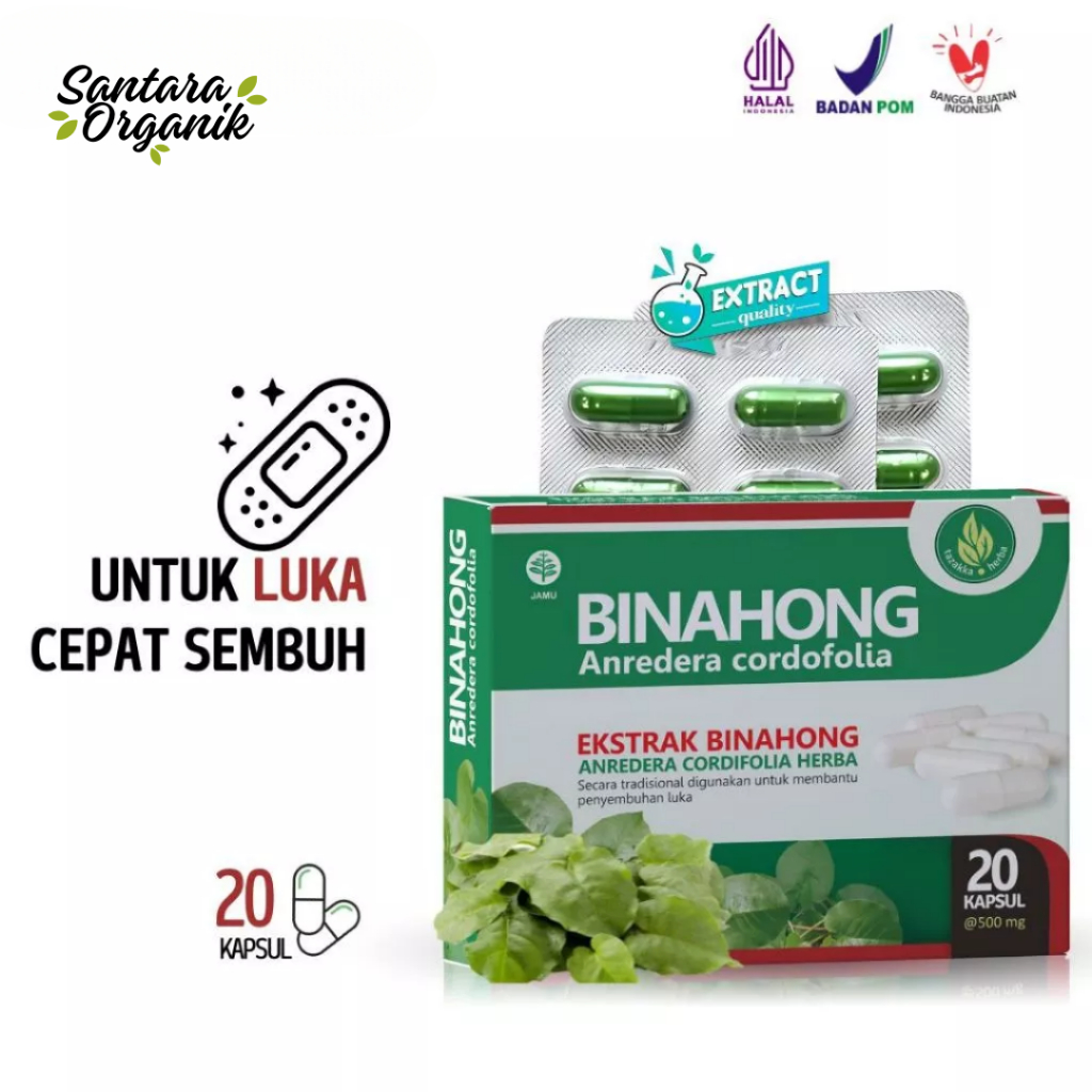 Jual Obat Herbal Luka Pasca Operasi Ekstrak Daun Binahong Asli Tazakka Original 20 Kapsul ...