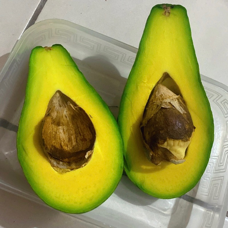 Jual Alpukat mentega Fresh dan Legit 1kg | Shopee Indonesia