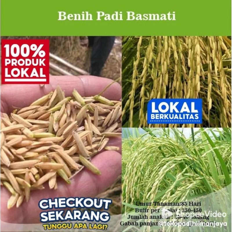 Jual Benih Padi BASMATI Beras IndiaKemasan 1 kg | Shopee Indonesia