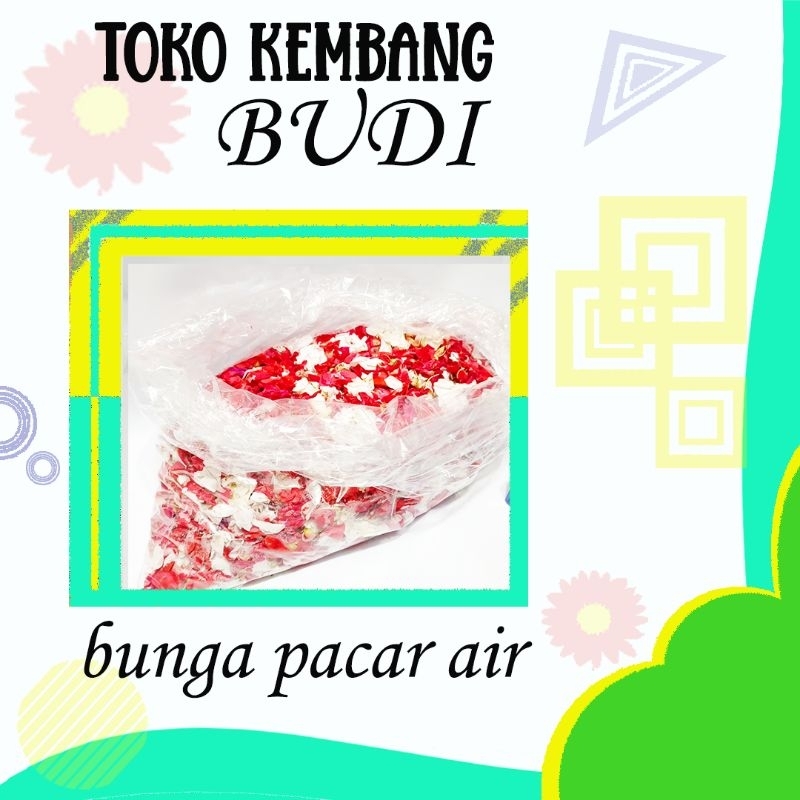 Jual bunga pacar air /pihong | Shopee Indonesia