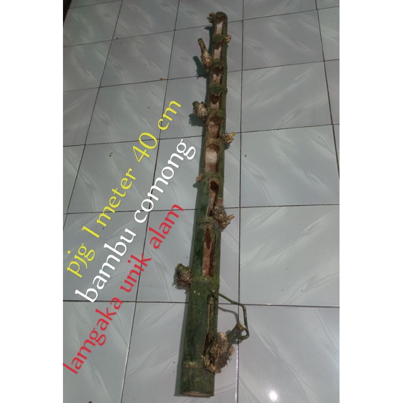 Jual bambu combong asli alam langka tidak di cuci unik koleksi dan lenya | Shopee Indonesia