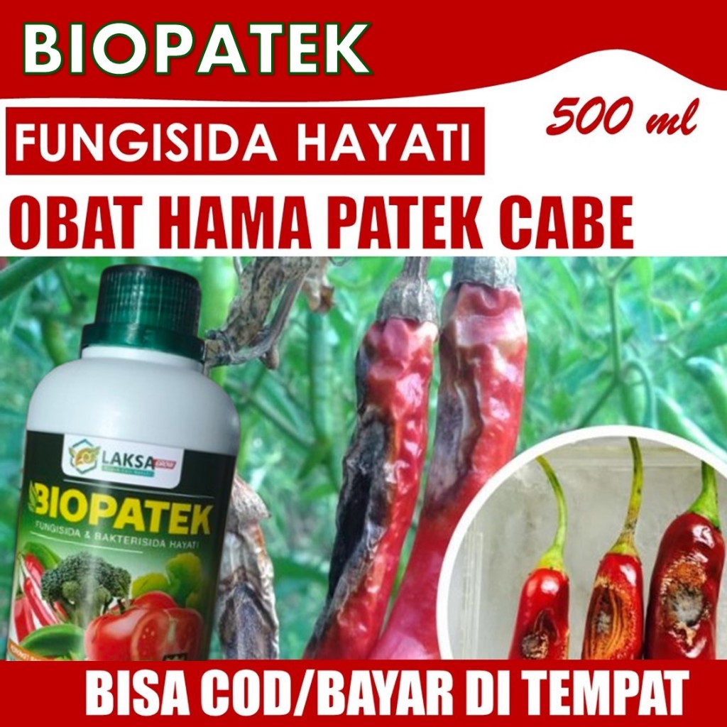 Jual OBAT HAMA PATEK CABE, BIOPATEK CABE ANTI HAMA CABE, PATEK CABE ...