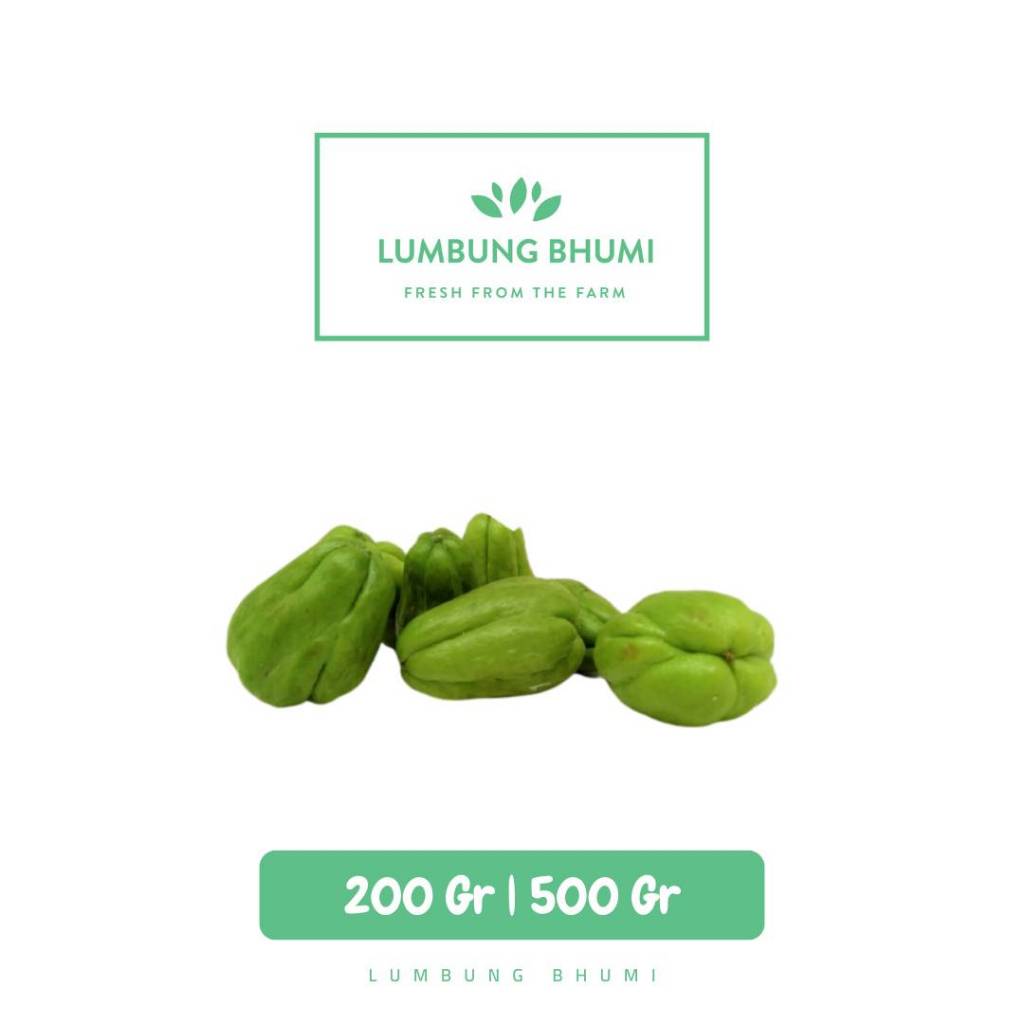 Jual Baby Labu Siam Acar Sayur - Lumbung Bhumi | Shopee Indonesia