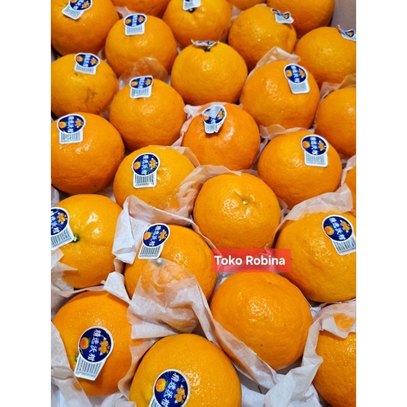 Jual Jeruk Wogan Import 500 gr | Shopee Indonesia