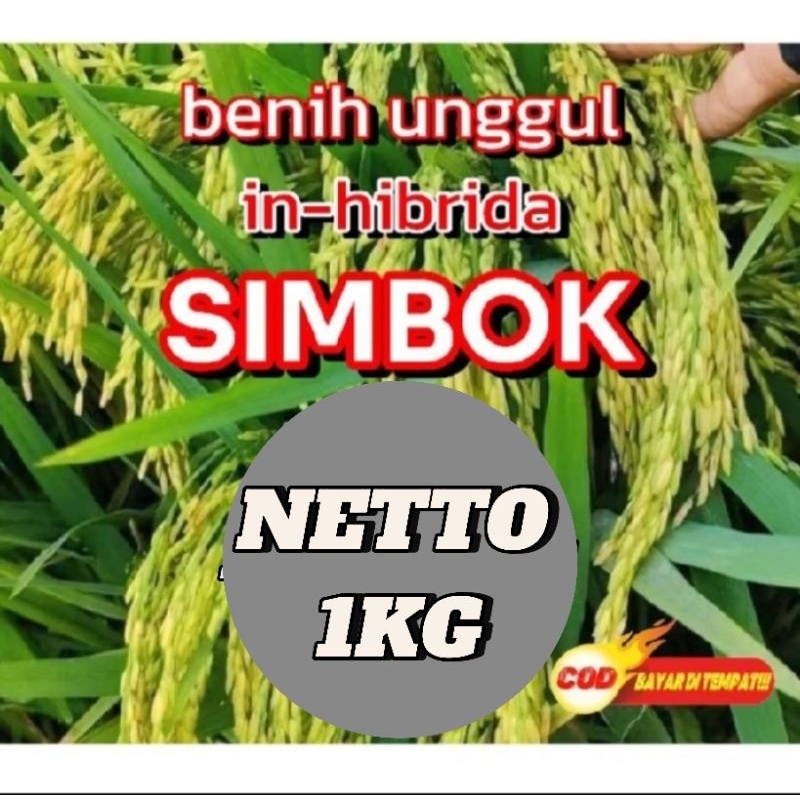 Jual BENIH BIBIT PADI IN HIBRIDA SIMBOK KEMASAN 1KG | Shopee Indonesia