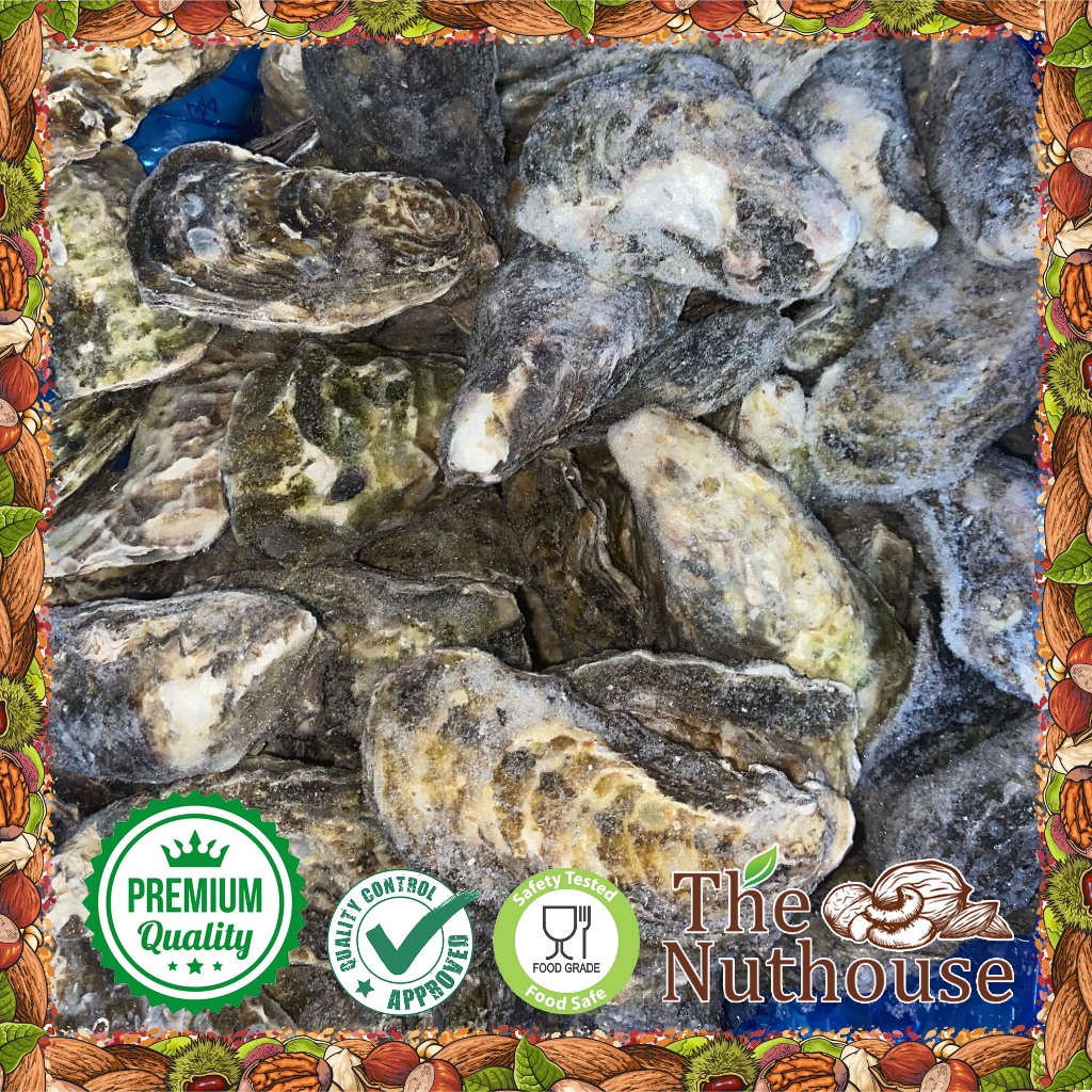 Jual Frozen Oyster Whole Shell / Kerang Tiram Beku Utuh 1kg | Shopee ...