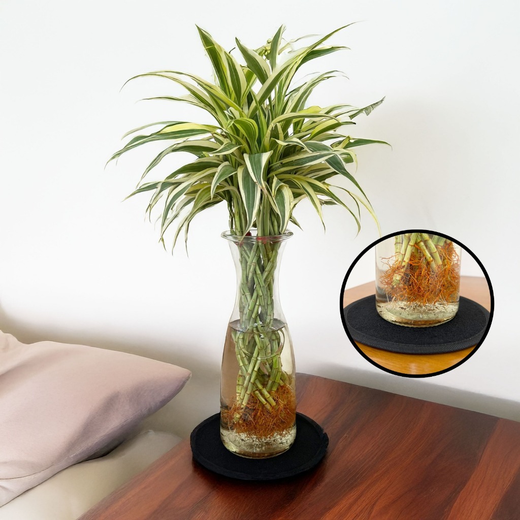 Jual Alas Pot Tanaman Aesthetic / Tatakan Vas Bunga Premium | Shopee ...