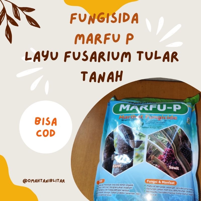 Jual FUNGISIDA MARFU P KEMASAN 100GR TRICODERMA PENGENDALI LAYU ...