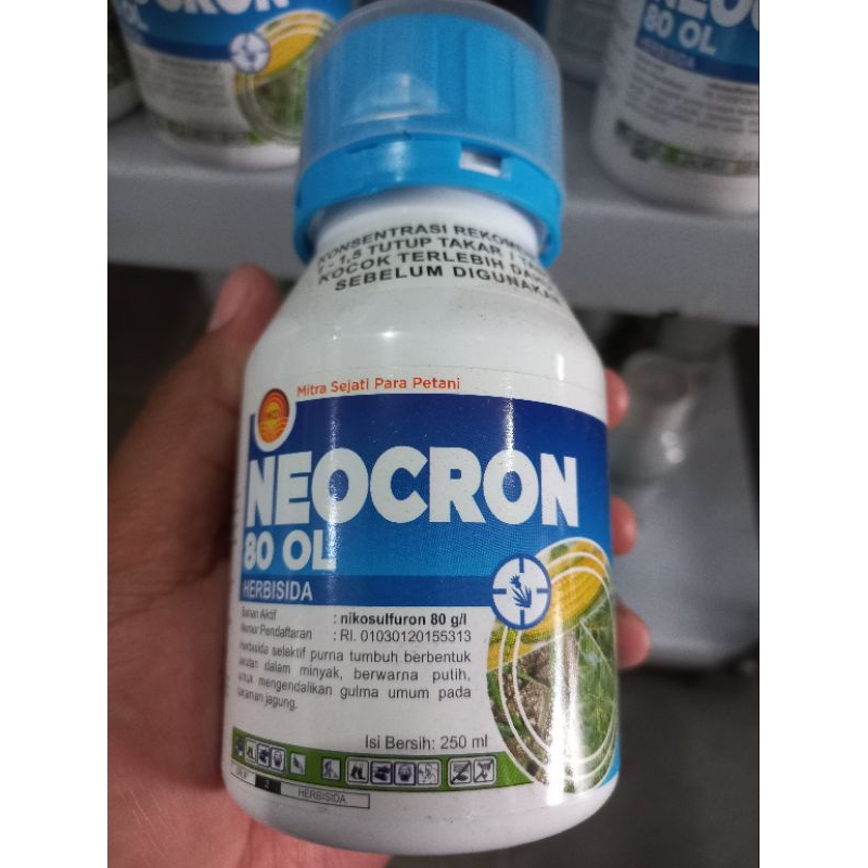 Jual Herbisida Neocron 80 OL Kemasan 250 ml//Obat rumput jagung ...