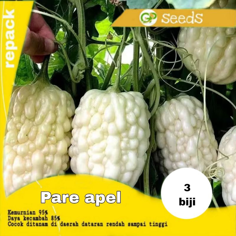 Jual benih pare putih apel kemasan mini | Shopee Indonesia