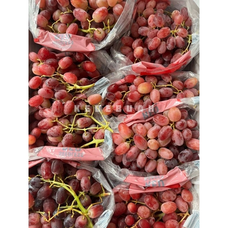Jual Anggur Red Crimson Seedless Australia (Buy 1 Kg Free 1 Kg ...