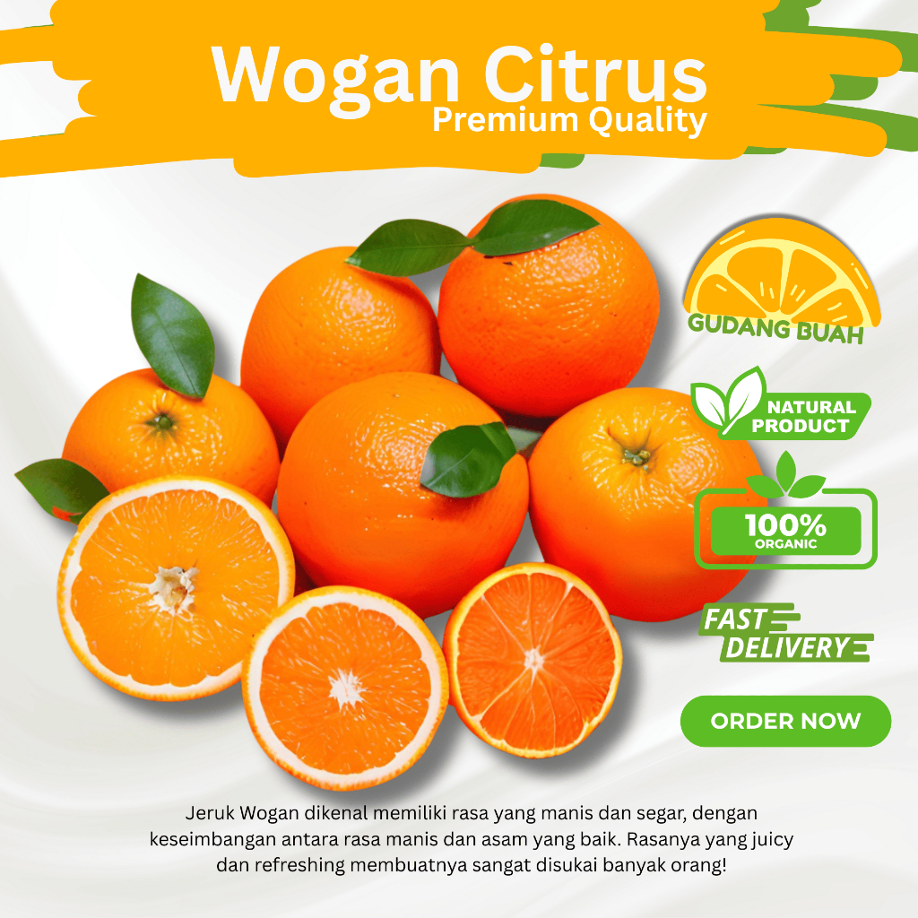 Jual Jeruk Wogan Citrus Mandarin Sweet Fresh Premium 1Kg | Shopee Indonesia