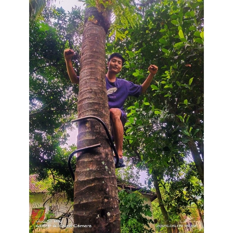 Jual sepatu + rangka alat panjat pohon kelapa | Shopee Indonesia