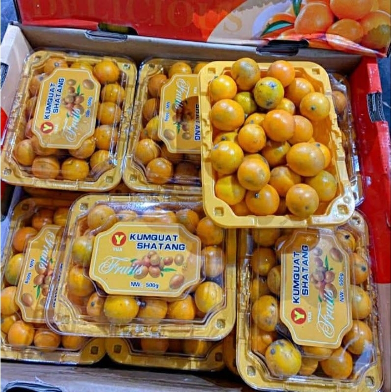 Jual jeruk kimkit/kumkuat golden | Shopee Indonesia