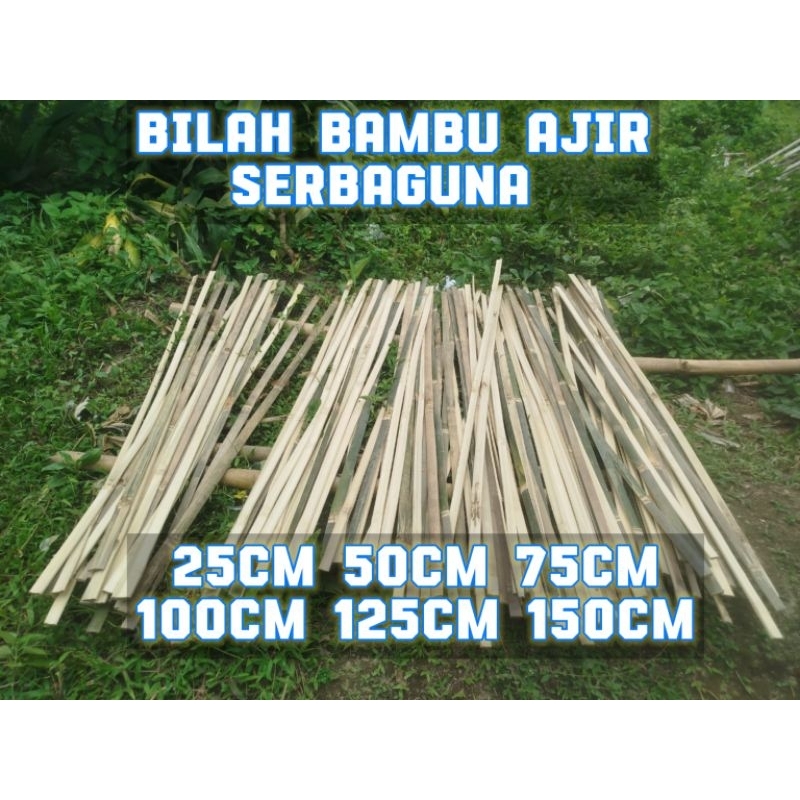 Jual Bambu Bilah Ajir Turus Serbaguna 25cm 50cm 75cm 100cm 125cm 150cm ...