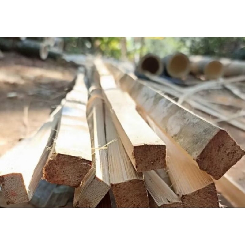 Jual bambu petung kotak/bambu gombong kualitas bagus dan tebal/isi ...