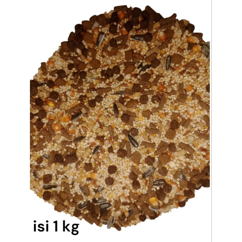 Jual pakan hamster atau tikus kecil, marmut isi 1 kilo | Shopee Indonesia