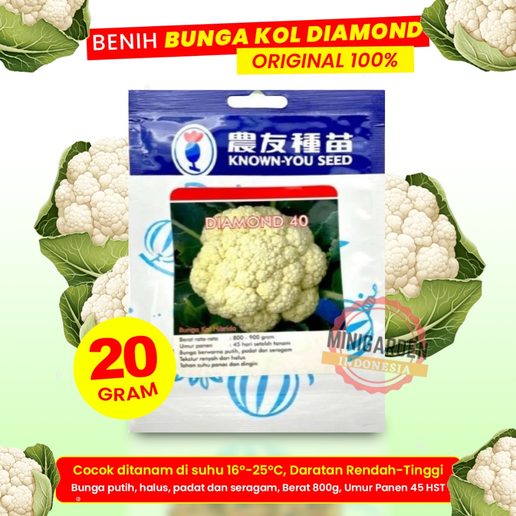 Jual BUNGA KOL DIAMOND 20GRAM PACK BESAR benih biji kembang kol hibrida ...
