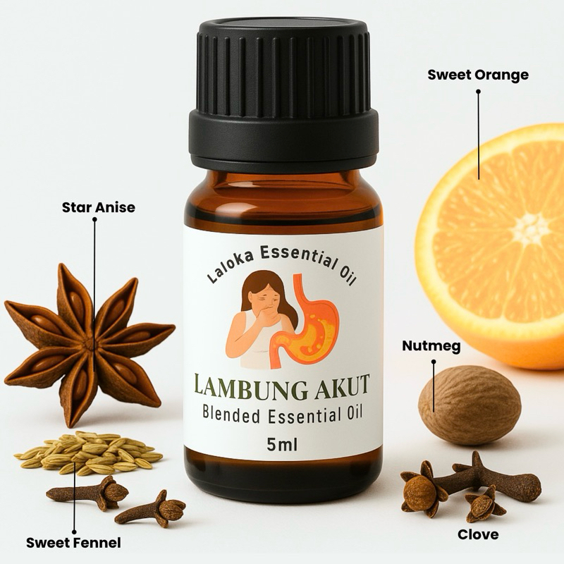 Jual Lambung Akut - Laloka Essentials | Shopee Indonesia