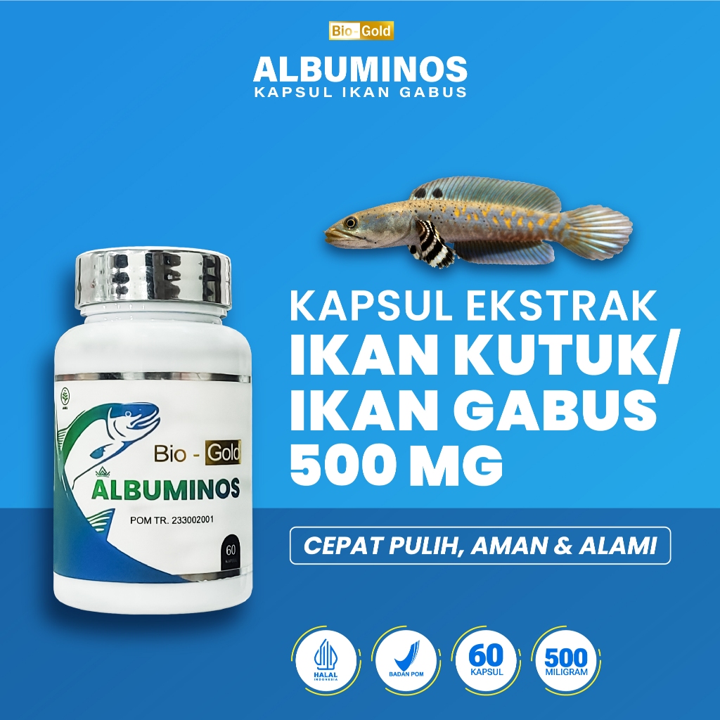 Jual Bio Gold - Albuminos Kapsul Ekstrak Ikan Gabus Kutuk Channa Striata 500mg Obat Untuk Luka ...