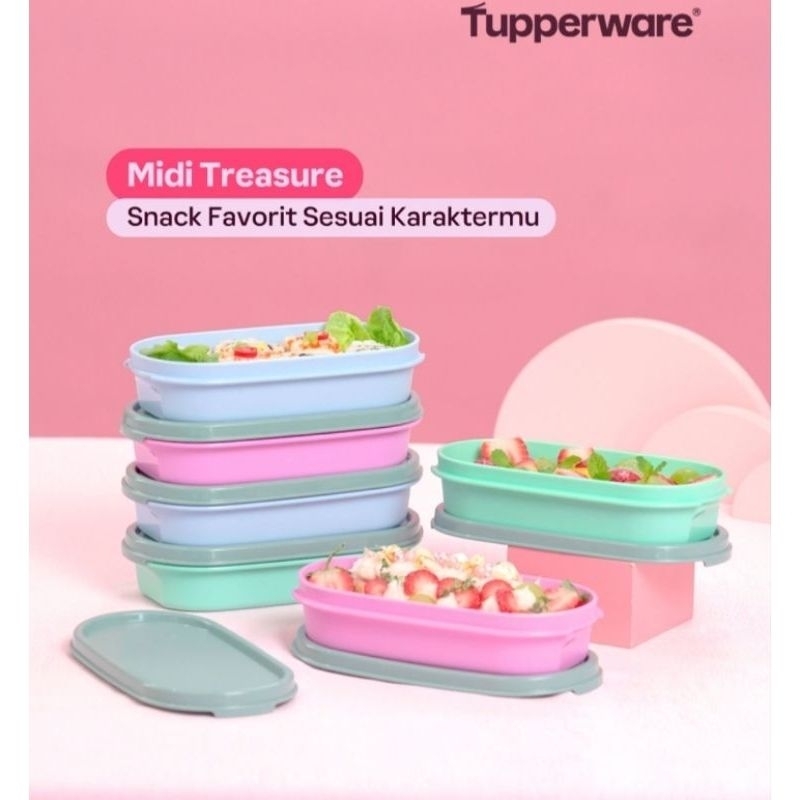 Jual tempat bekal Tupperware midi treasure set pilih warna | Shopee ...