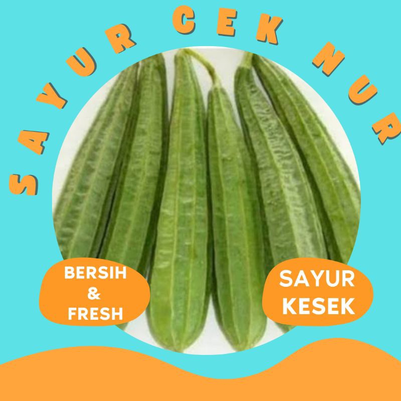 Jual SAYUR KESEK / OYONG FRESH & BERSIH - PALEMBANG | Shopee Indonesia
