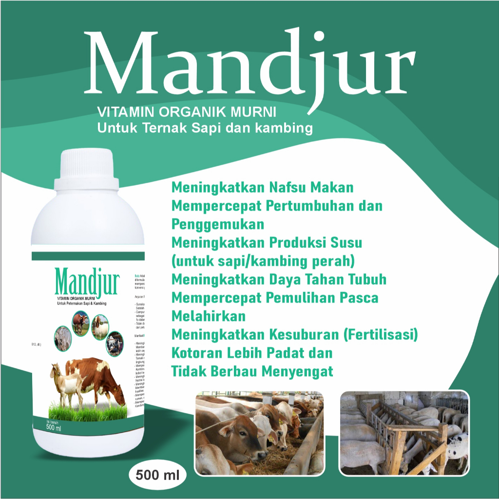 Jual vitamin tambahan bernutrisi komplex untuk penggemukan sapi dan ...