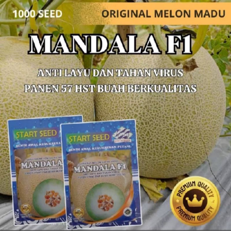 Jual Bibit Melon madu Super Manis MANDALA F1 Benih Melon Premium Benih ...