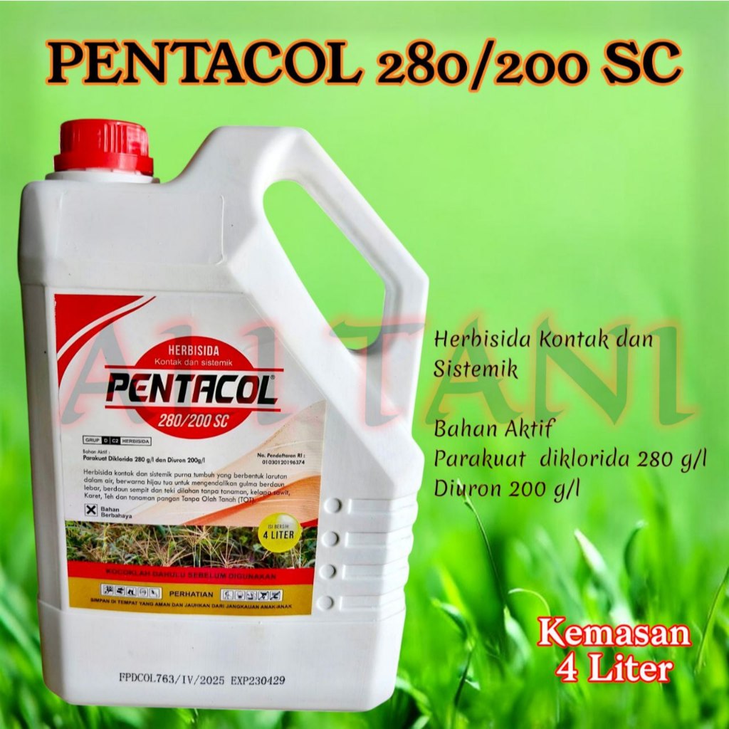 Jual (4 LTR) PENTACOL 280/200 SC Herbisida/Racun Rumput Kontak dan ...