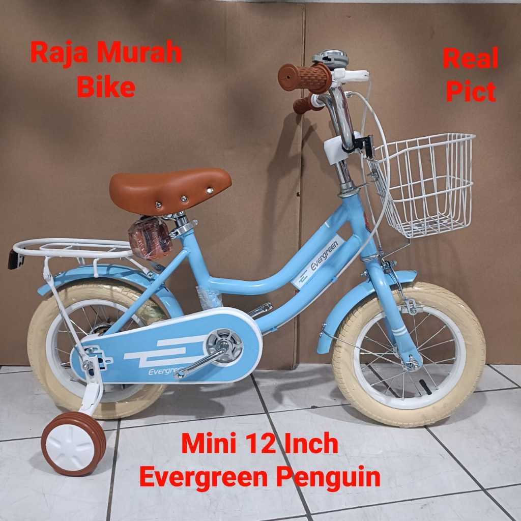 Jual Sepeda Anak Mini 12 Inch Evergreen Penguin Sepeda Anak Perempuan ...