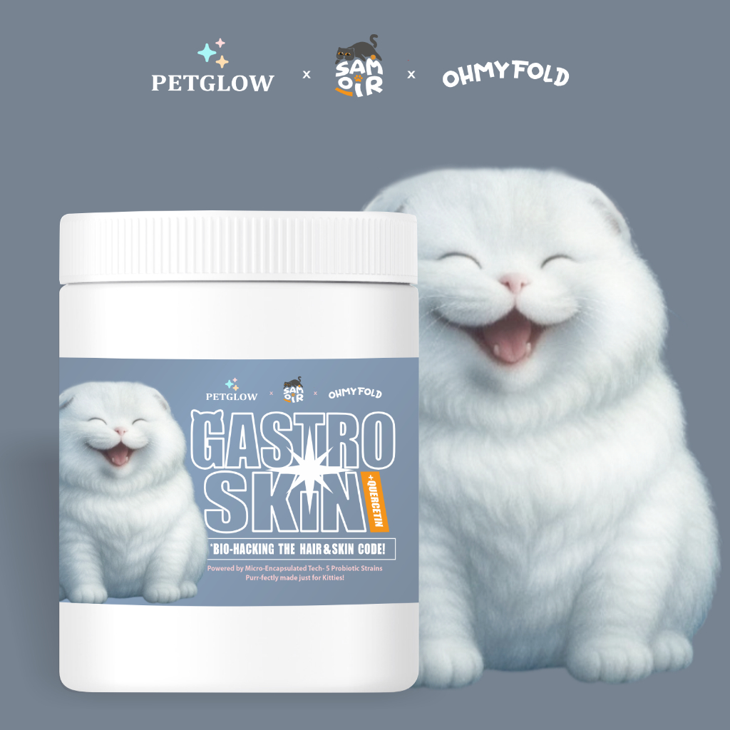 Jual 365 HARI Gastro Skin by Petglow x Samoir x Ohmyfold Probiotic ...