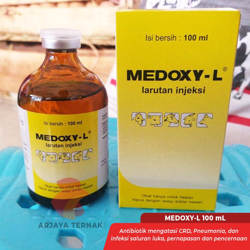 Jual Medoxy L 100 ml antibiotik hewan mengatasi CRD snot pneumonia ...