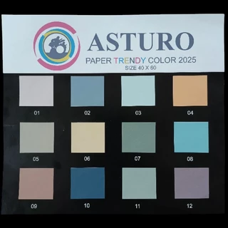 Toko Online ASTURO Official Store | Shopee Indonesia