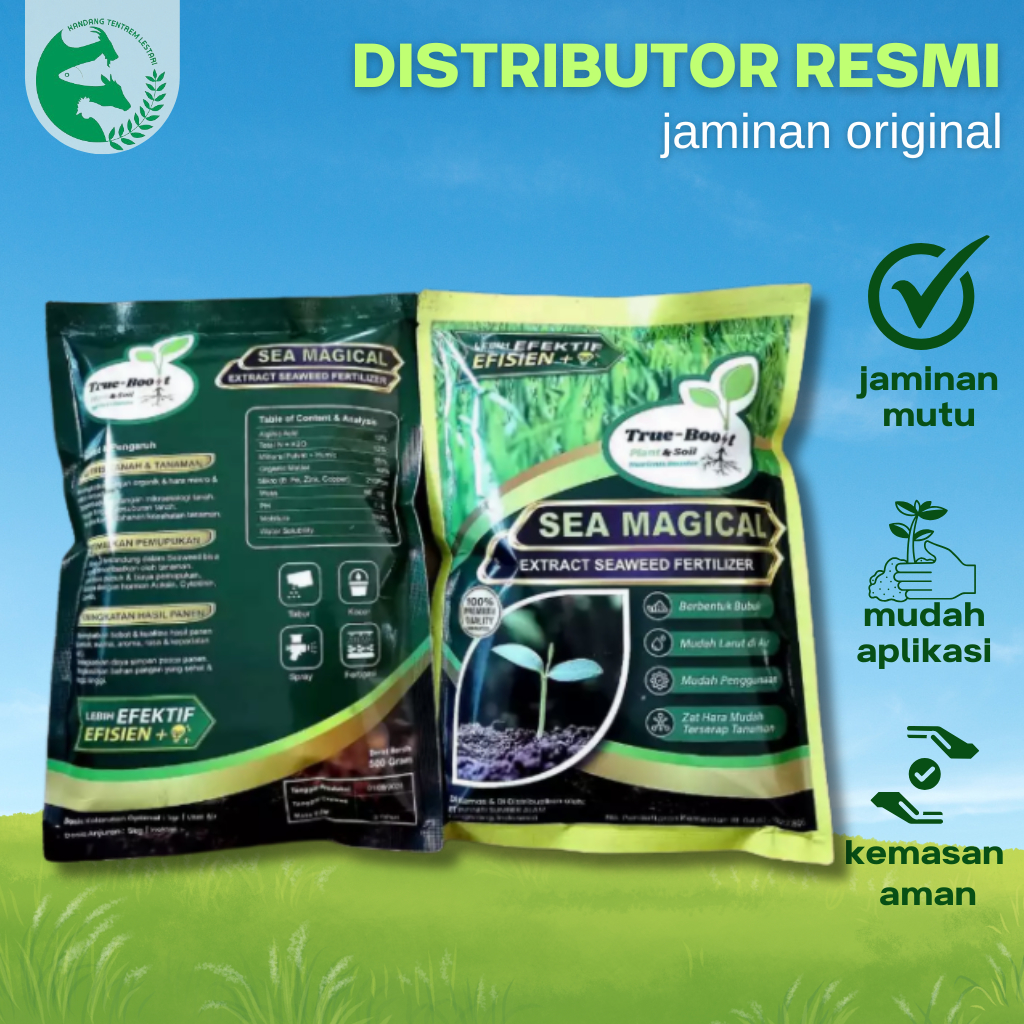 Jual Sea Magical 500 gr Extract Seaweed Fertilizer Penyubur Tanaman ...