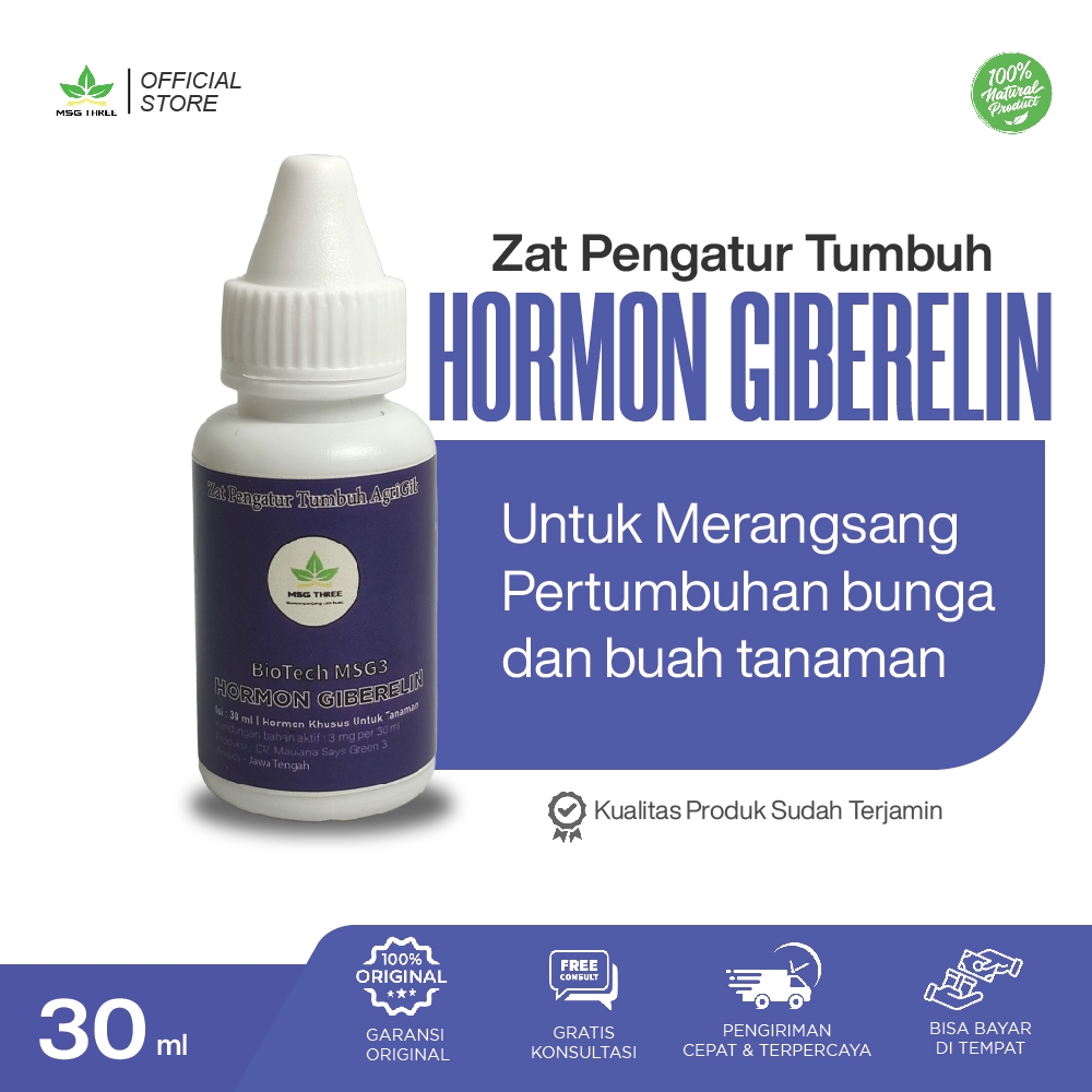 Jual Hormon Giberelin - ZPT Zat Pengatur Tumbuh Untuk Pertumbuhan Bunga ...