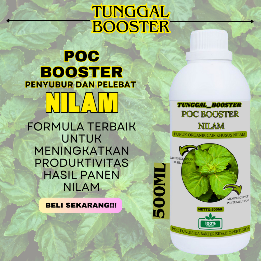 Jual POC Pupuk Organik cair Tanaman Nilam Premium 500ml-Booster Pelebat,Penyubur dan Perangsang ...
