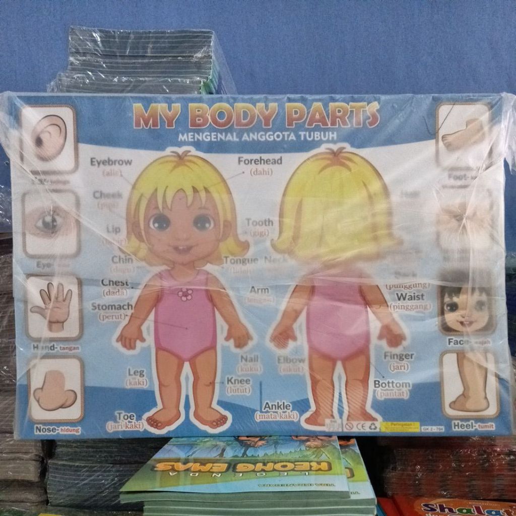 Jual Poster Mengenal Anggota Tubuh | Shopee Indonesia