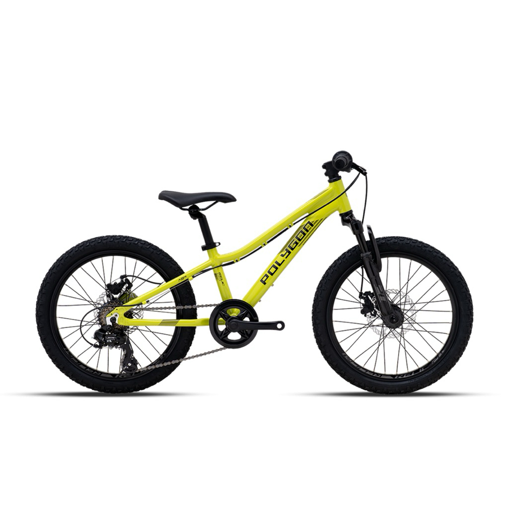Jual Sepeda Gunung MTB Anak 20 Inch Polygon Relic | Shopee Indonesia