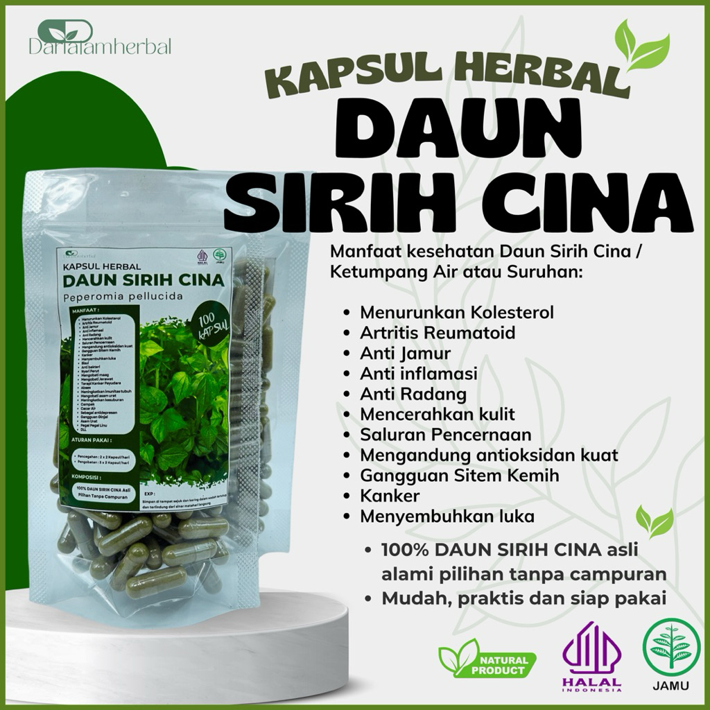 Jual Kapsul Herbal DAUN SIRIH CINA isi 100 kapsul | Kapsul Sejuta ...