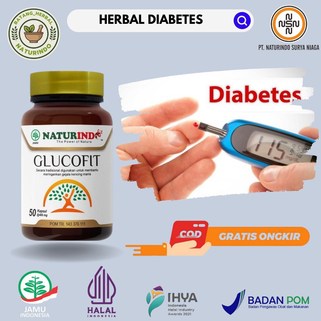 Jual Obat Diabetes Gula Darah Insulin Diabet Penurun Gula Darah Kering ...