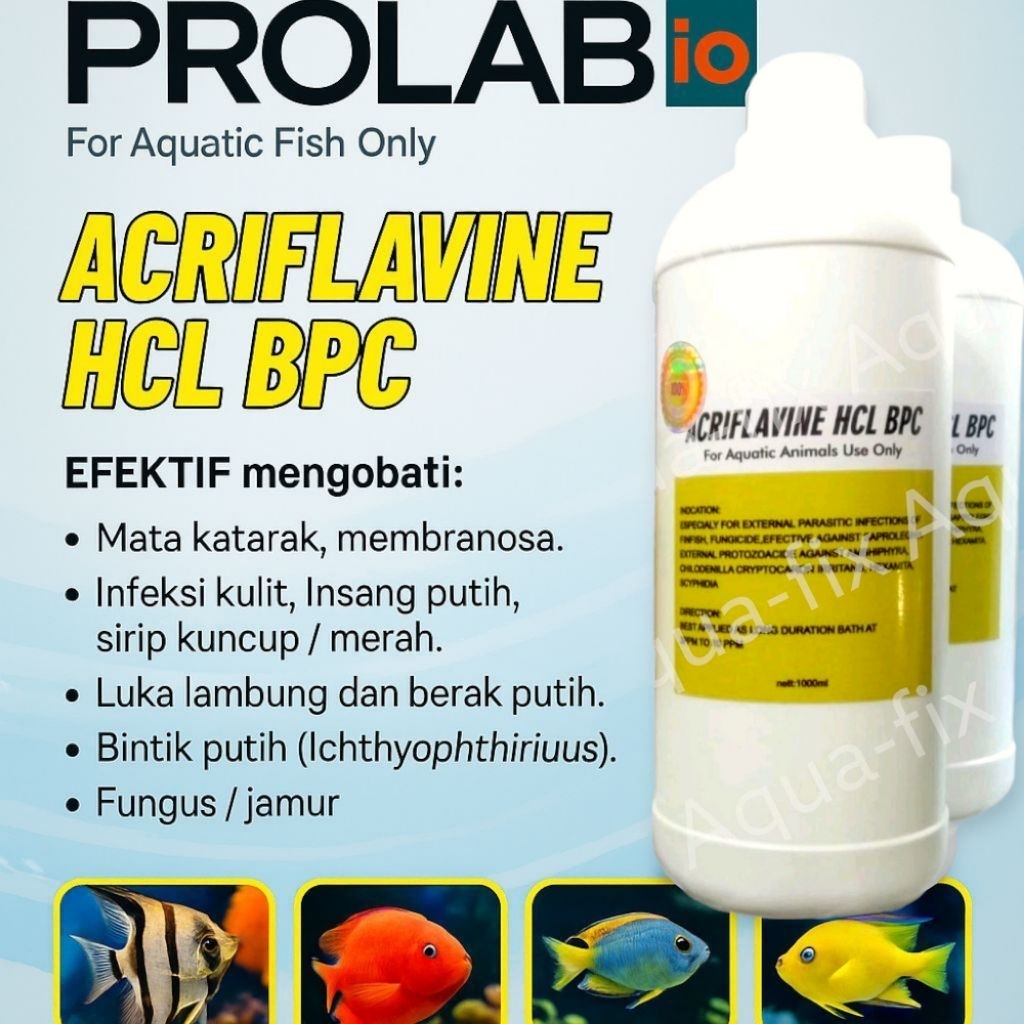 Jual PROLABio acriflavine 1 liter obat kuning ikan | Shopee Indonesia