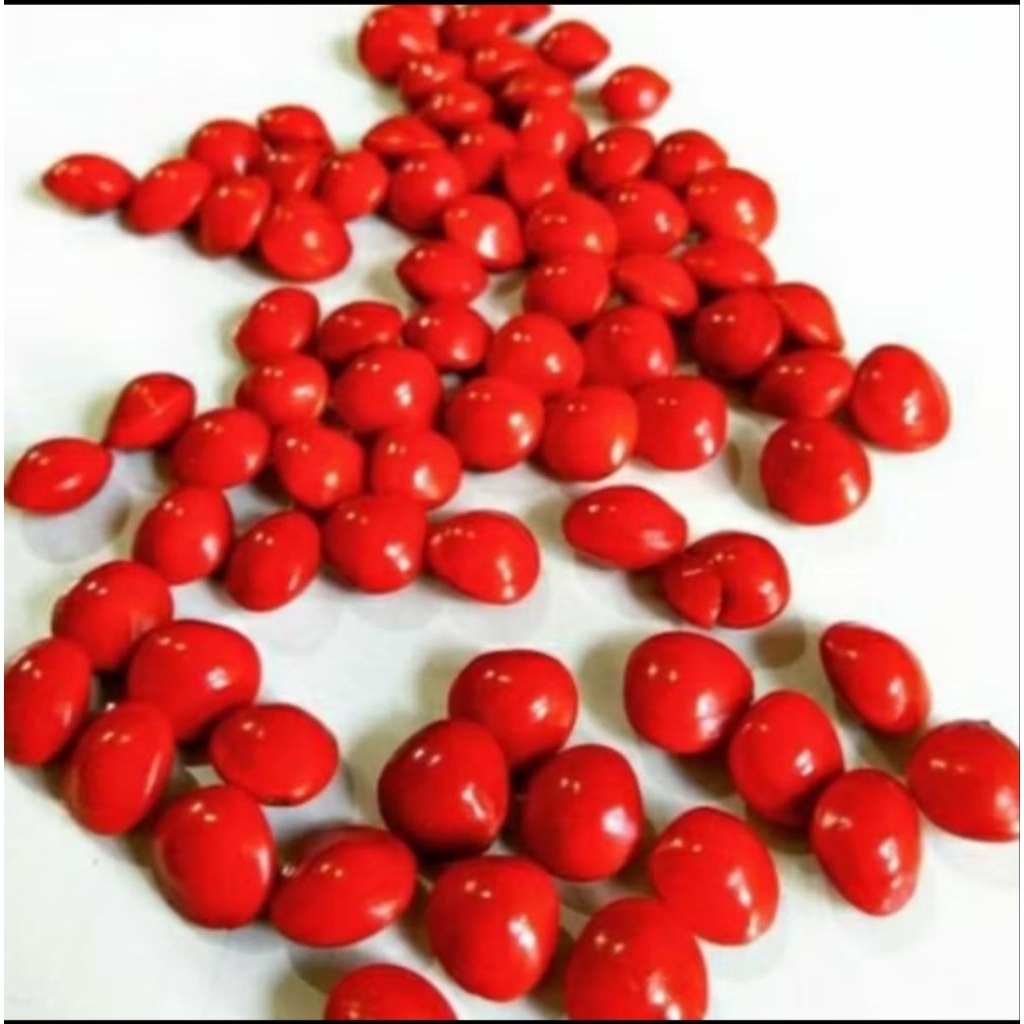 Jual 700 BENIH BIJI DAUN SAGA MERAH SUPER | Shopee Indonesia