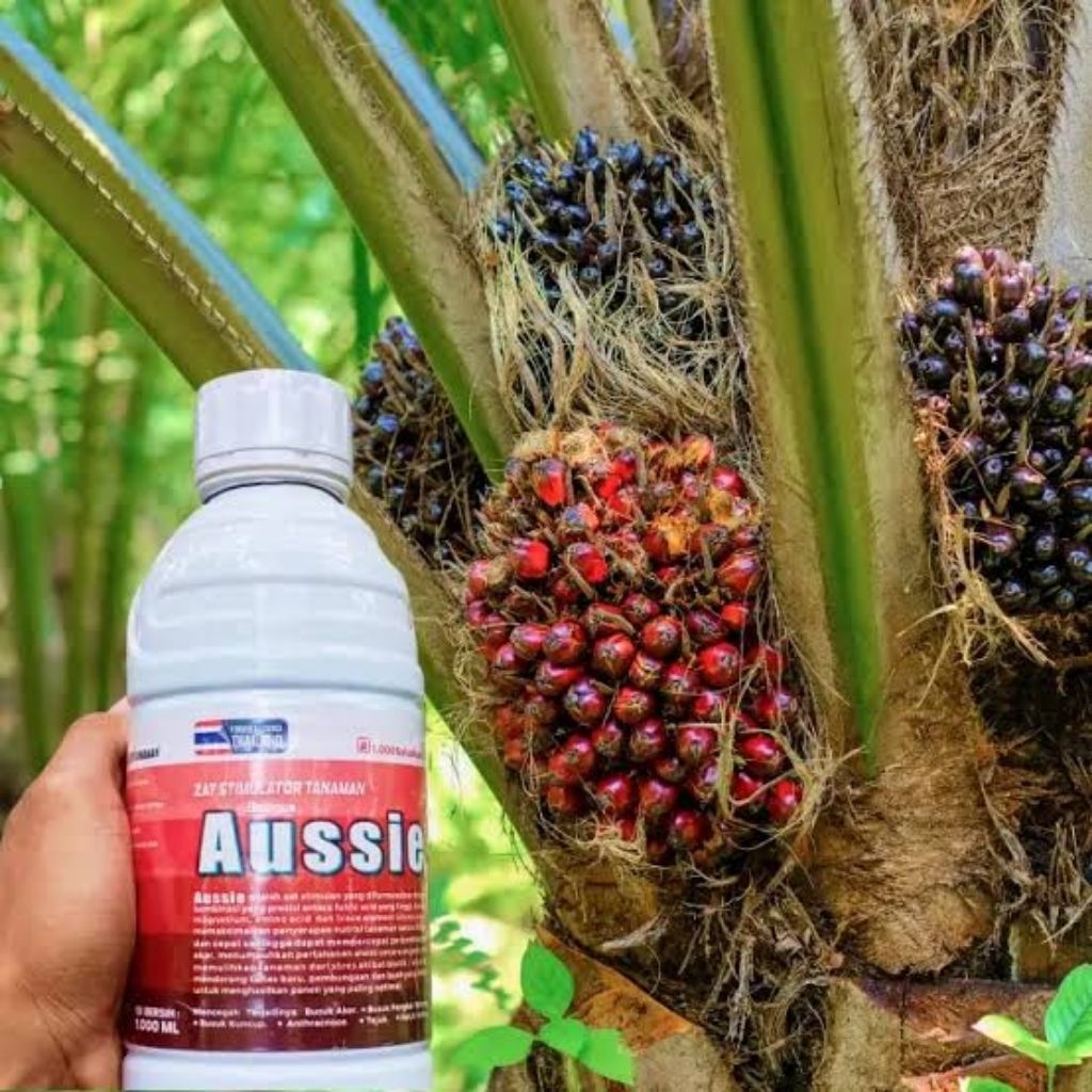 Jual Aussie obat sawit jamur Ganoderma 500 ML | Shopee Indonesia