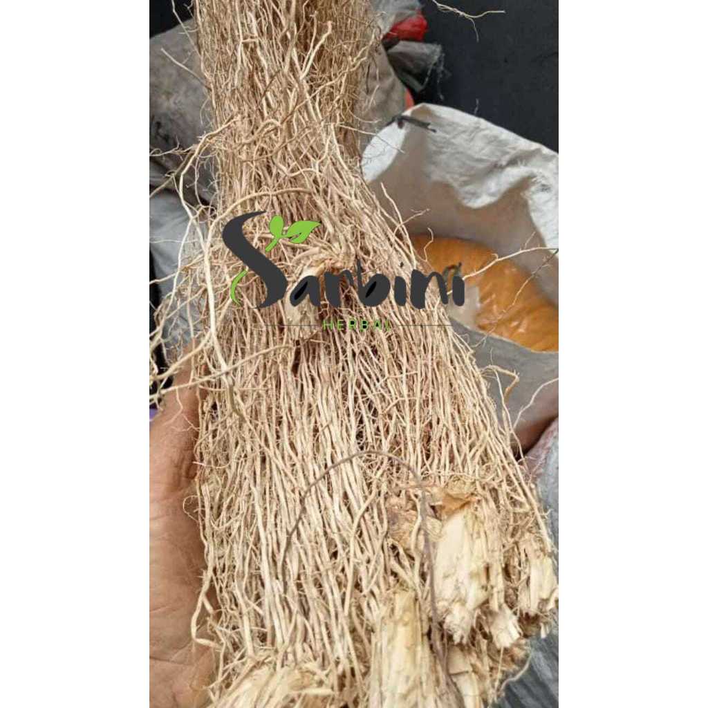 Jual Akar Wangi Kering / Kering Akar Wangi / 250 gram / Simplisia ...