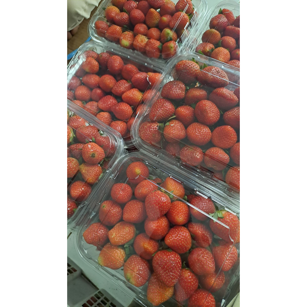 Jual Strawberry Fresh Bandung Grade B Medium Ukuran Sedang 500gr ...